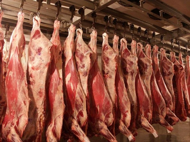 Pork meat yield from live weight: table, slaughter weight, meat yield ...
